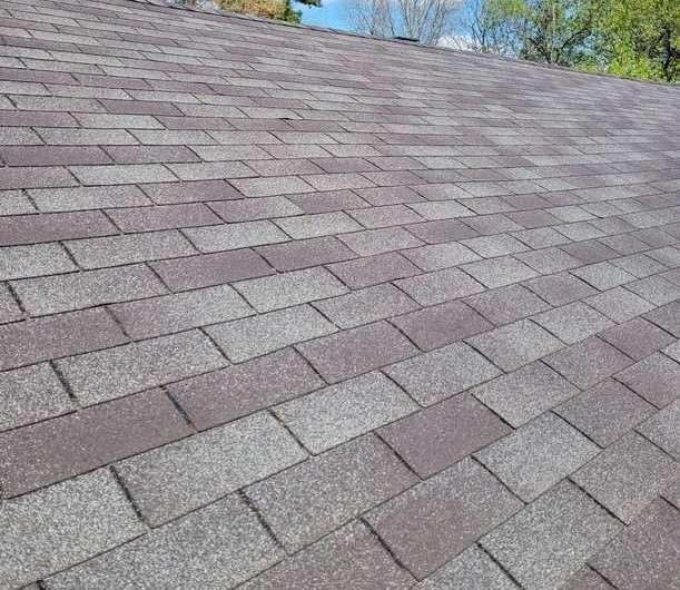 Asphalt Shingle Roof vs. Cedar Shake Roof: Which is Right for You?
