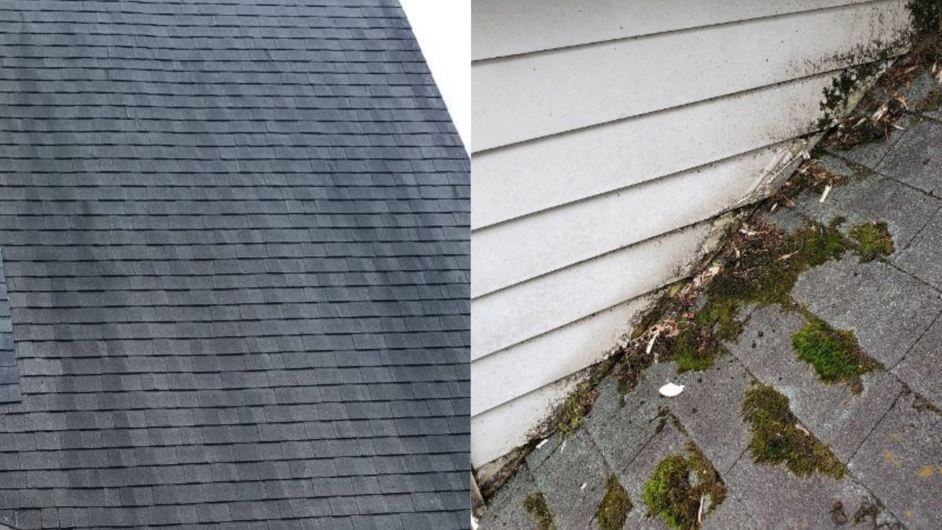 How Often Should You Clean Your Roof?