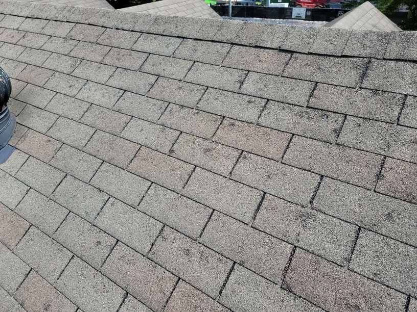 How to Spot Storm Damage to Your Roof in Nashville, TN