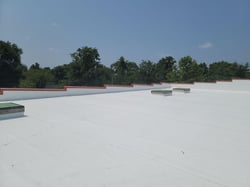 What is TPO Roofing? (Why You Need It and How Much TPO Roofing Costs)