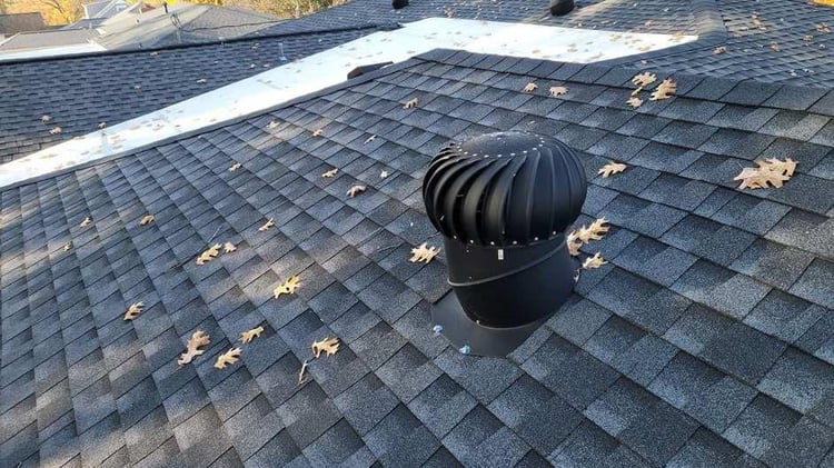 Should You Upgrade Your Box Vents When Getting a New Roof?