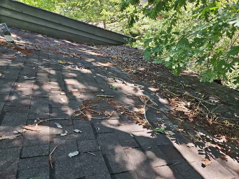 How Do You Remove Moss from a Roof?