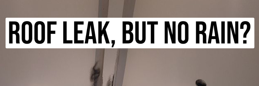 Leaky Ceiling Meme | Shelly Lighting